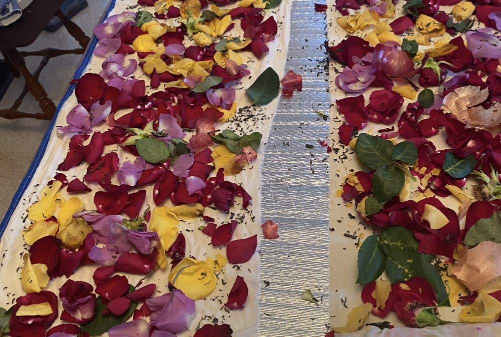 Linda Longtin | Apples And Art